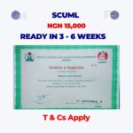 How to File SCUML in Nigeria: A Step-by-Step Guide - Bookworm ...